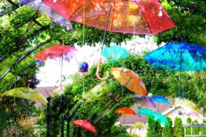 横浜イングリッシュガーデンの紫陽花2024の見頃はいつ？バラと一緒に楽しめる？ | Allons-y（アロジー）